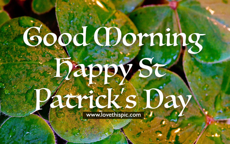 Clover Good Morning St Pattys Day Image Pictures, Photos, and Images ...