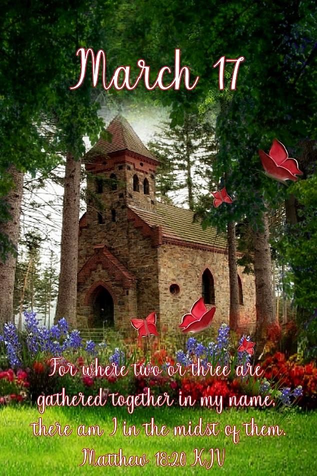 March 17 Pictures, Photos, and Images for Facebook, Tumblr, Pinterest ...