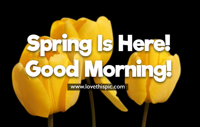 Spring Is Here! Good Morning! Pictures, Photos, and Images for Facebook ...