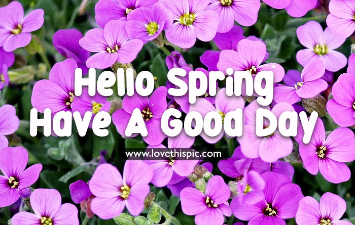 Hello Spring, Have A Good Day Pictures, Photos, and Images for Facebook ...