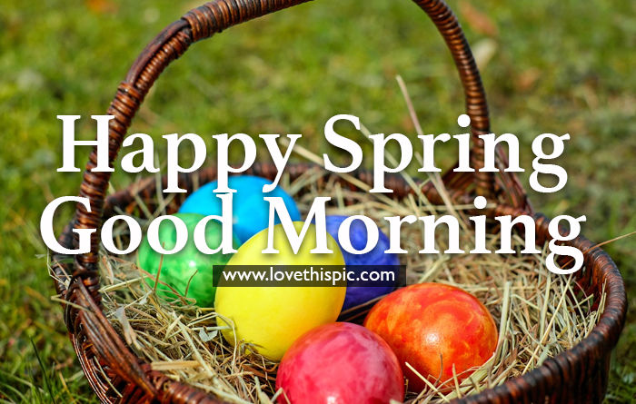 Colorful Eggs Happy Spring Morning Quote Pictures, Photos, and Images ...