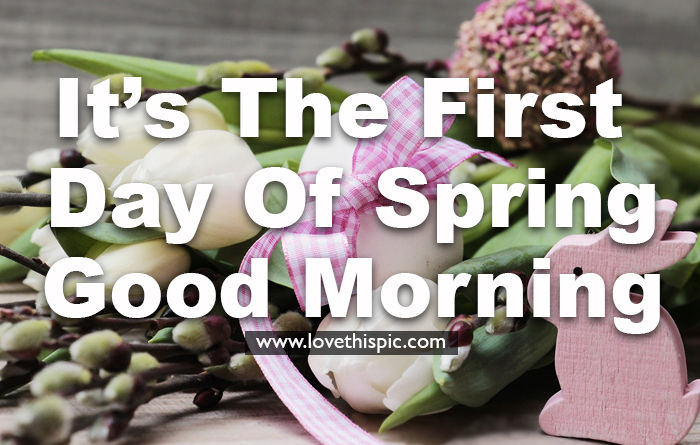It's The First Day Of Spring, Good Morning Pictures, Photos, and Images ...