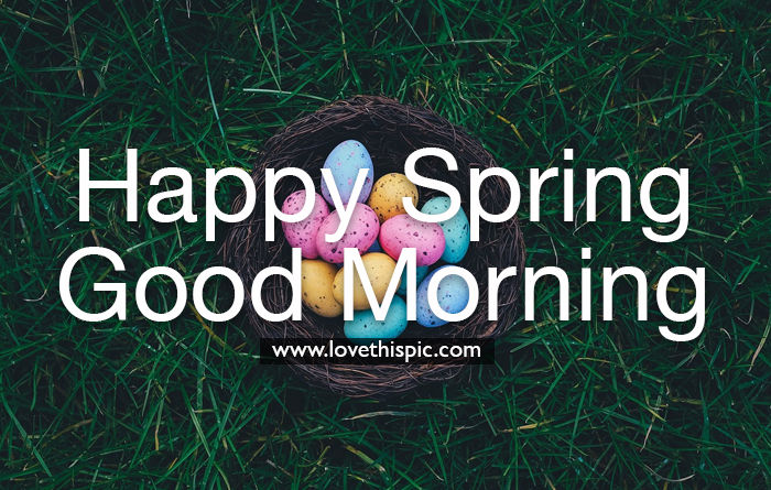 Spring Egg Good Morning Quote Pictures, Photos, and Images for Facebook ...
