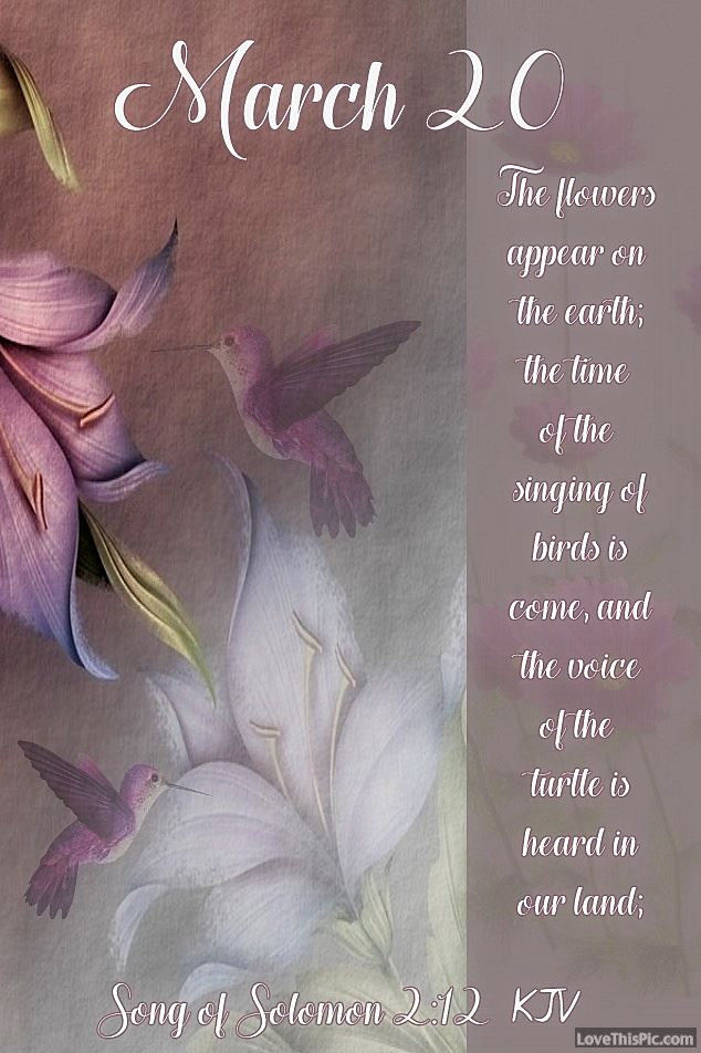 March 20 Pictures, Photos, and Images for Facebook, Tumblr, Pinterest ...