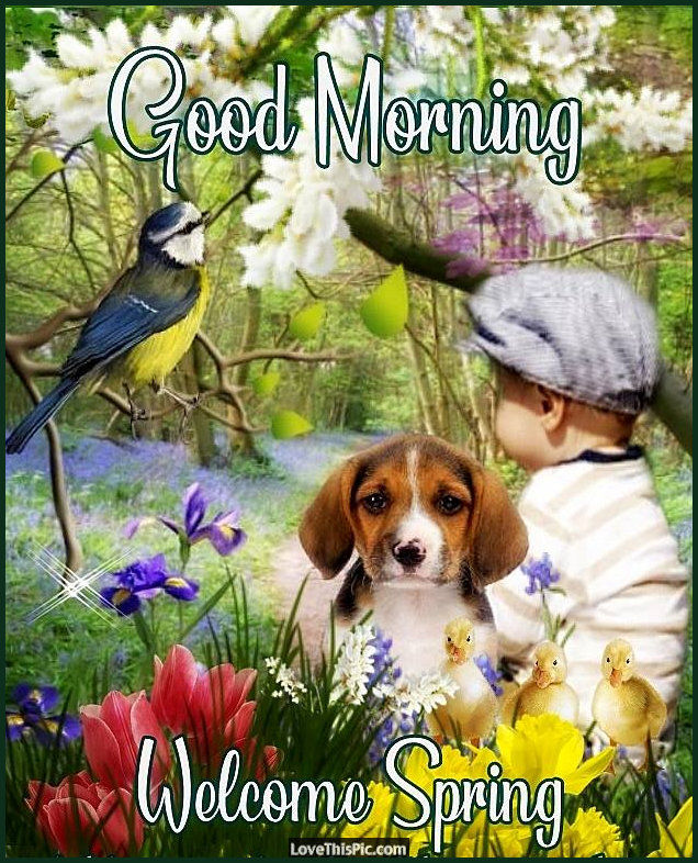 Good Morning And Welcome Spring Pictures, Photos, and Images for ...