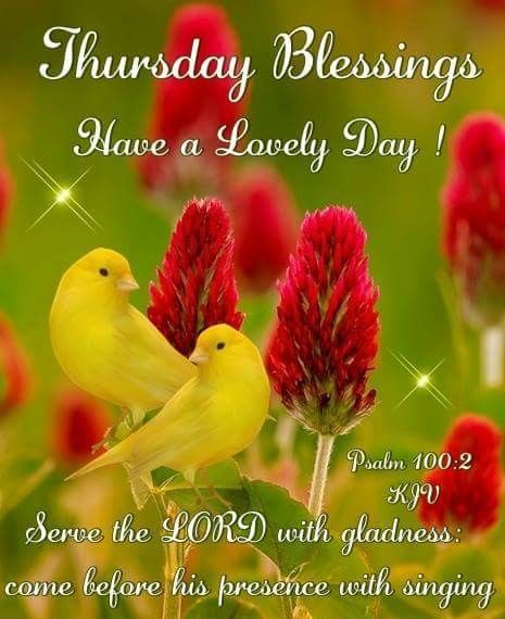 Yellow Bird Thursday Blessings Pictures, Photos, and Images for ...