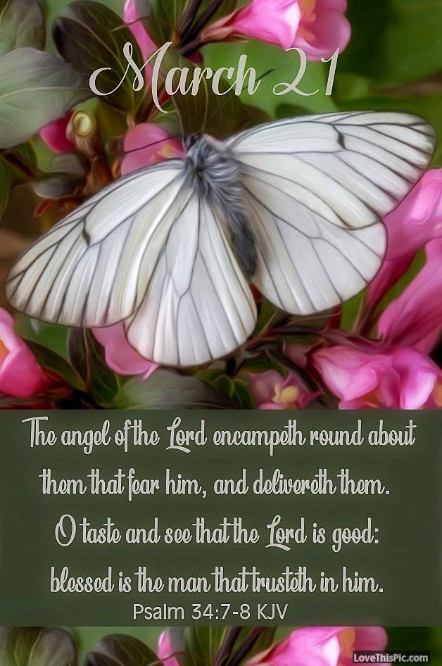 March 21 Pictures, Photos, and Images for Facebook, Tumblr, Pinterest ...