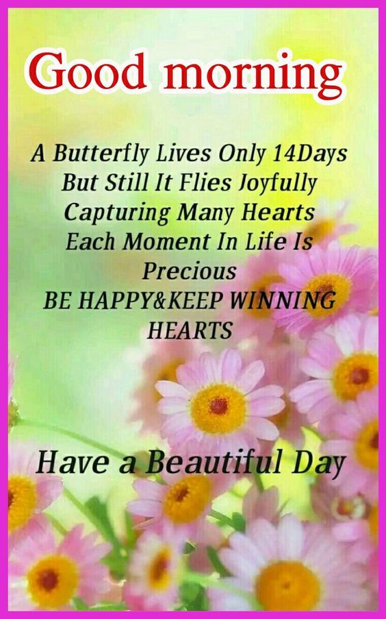 Be Happy & Keep Hearts Winning, Good Morning Pictures, Photos, and ...
