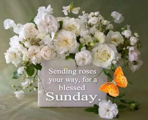 Sending Roses Your Way, For A Blessed Sunday Pictures, Photos, and ...