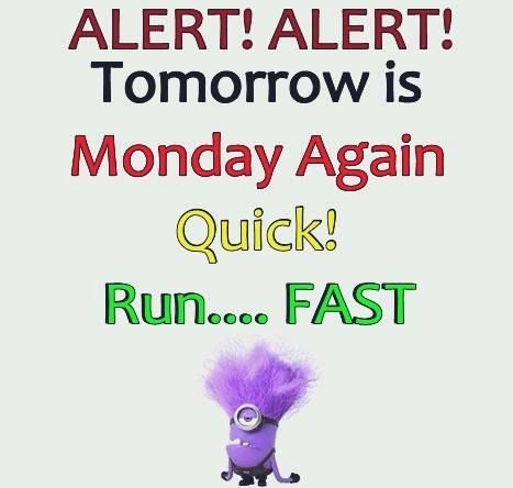 Alert! Alert! Tomorrow Is Monday Again. Quick! Run.. Pictures, Photos ...