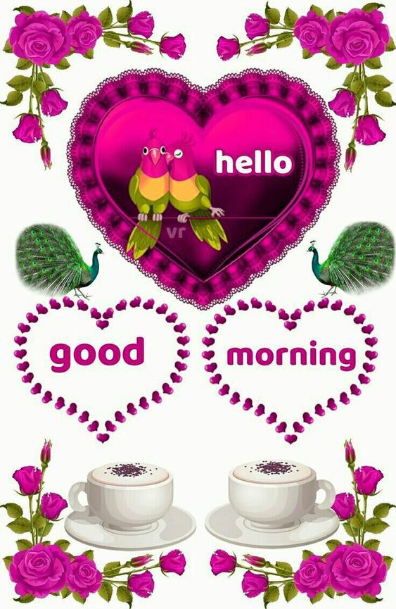 Hello Good Morning Quotes