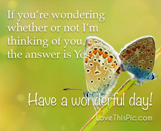 If You're Wondering Pictures, Photos, and Images for Facebook, Tumblr ...