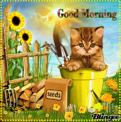 Garden Kitty Morning Gif Pictures, Photos, and Images for Facebook ...
