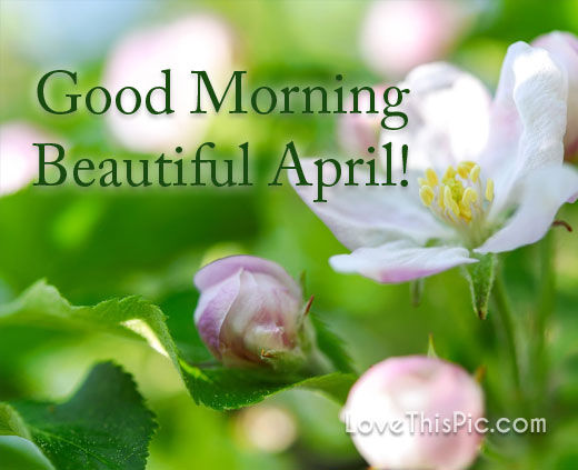 Beautiful April Pictures, Photos, and Images for Facebook, Tumblr ...