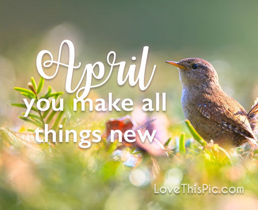 April You Make All Things New Pictures, Photos, and Images for Facebook ...