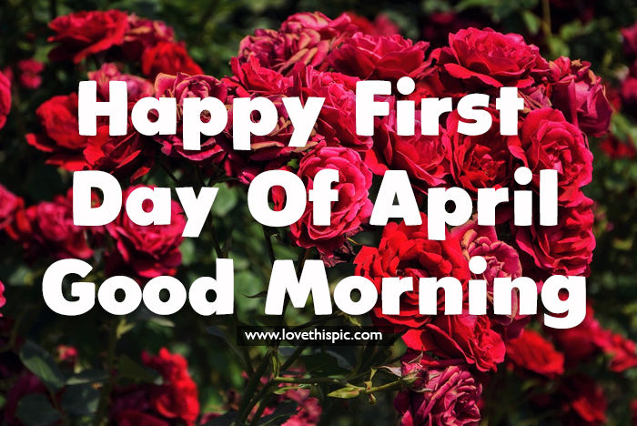 Happy First Day Of April, Good Morning Pictures, Photos, and Images for ...