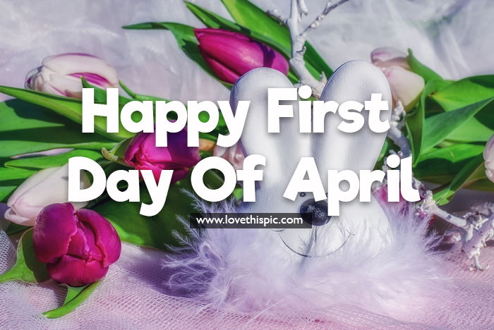 Bunny First Day Of April Quote Pictures, Photos, and Images for ...