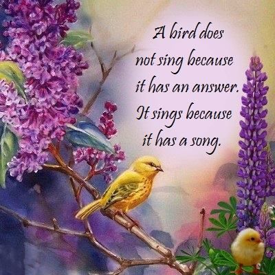 A Bird Does Not Sing Because It Has Answer. It Sings Because It Has A ...