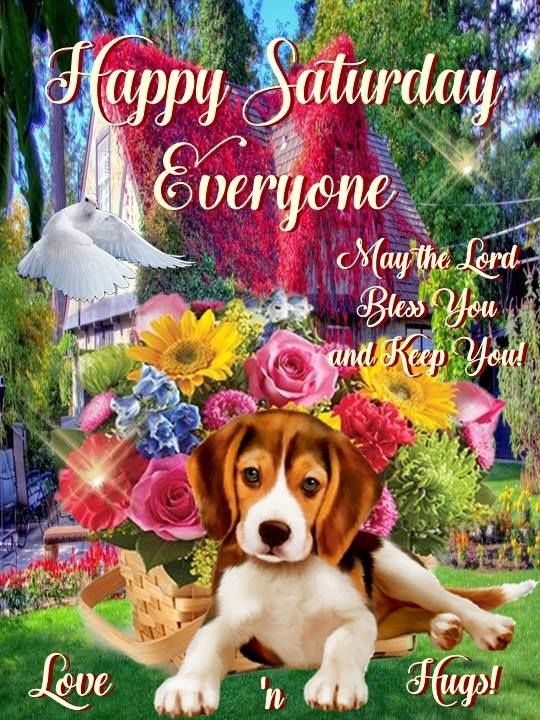 Sitting Puppy Happy Saturday Quote Pictures, Photos, and Images for ...