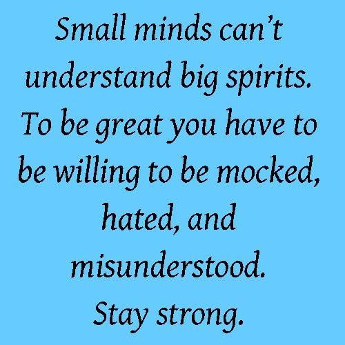 Small Minds Can't Understand Big Spirits Pictures, Photos, and Images ...