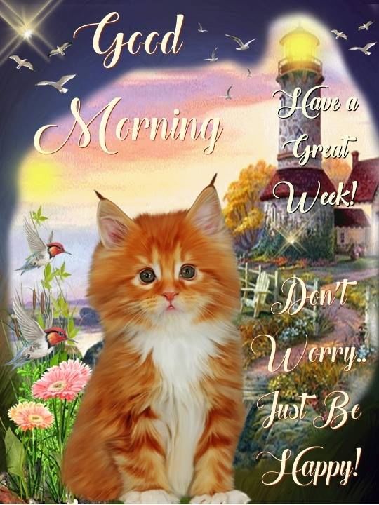 Have A Great Week! Don't Worry, Just Be Happy! Pictures, Photos, and ...