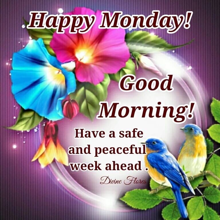 Safe Peaceful Happy Monday Pictures, Photos, and Images for Facebook ...