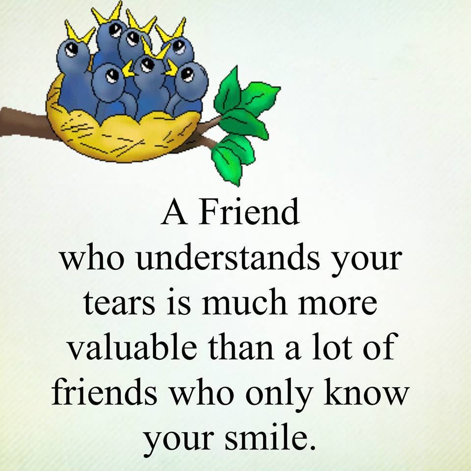 A Friend Who Understands Your Tears Is Much More Valuable Than A Lot Of ...