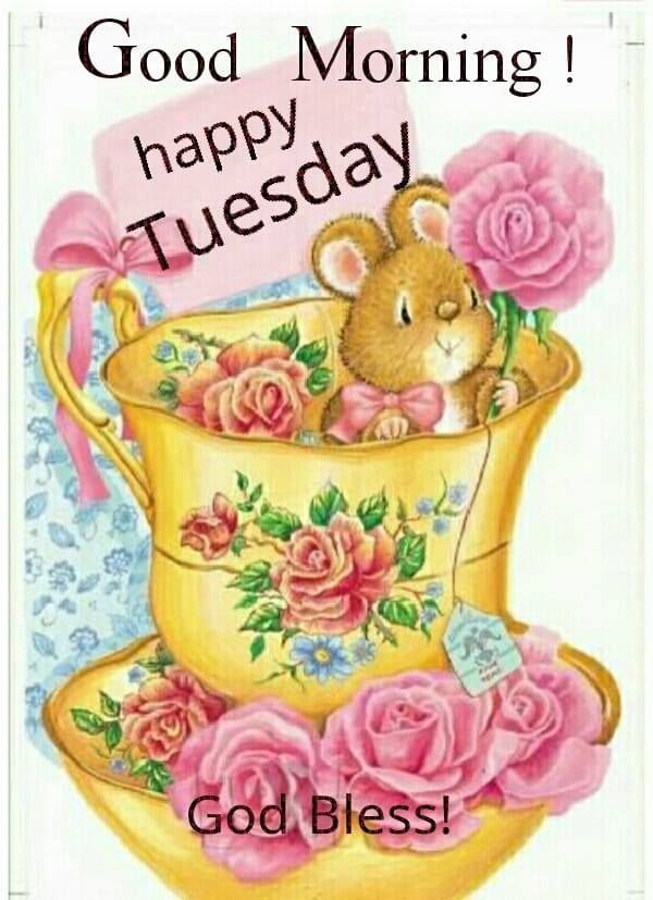 Mouse Tea Cup Good Morning Happy Tuesday Pictures, Photos, and Images ...