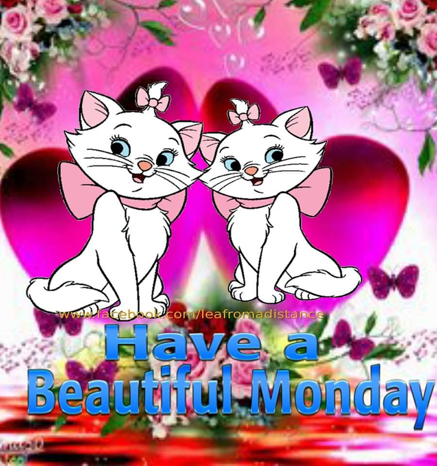 Beautiful Monday Pictures, Photos, and Images for Facebook, Tumblr ...