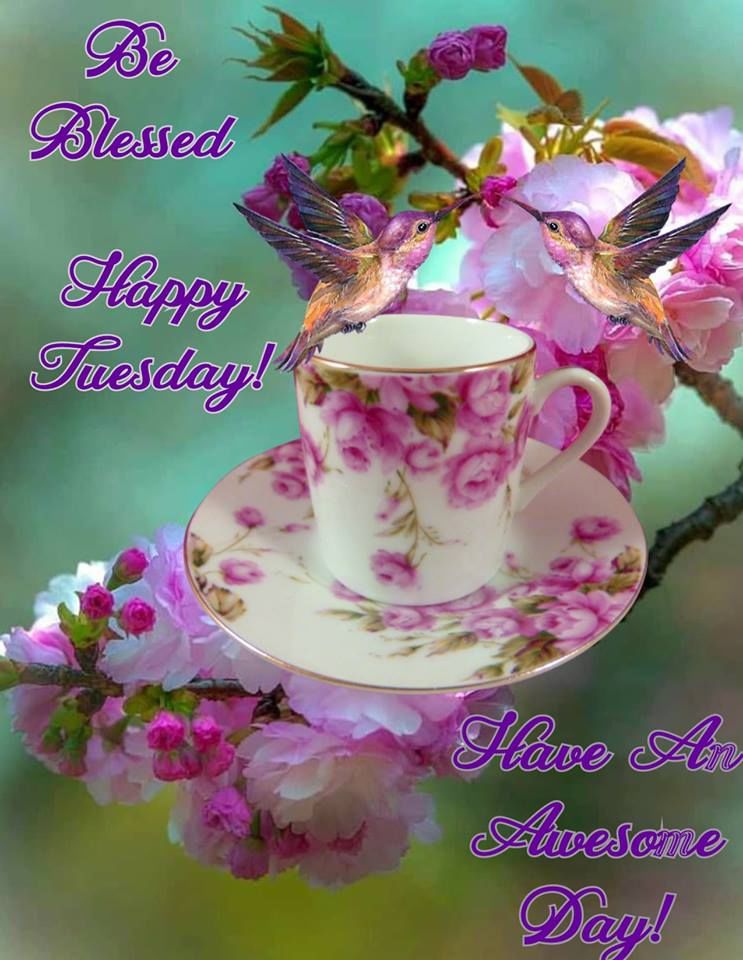 Be Blessed, Happy Tuesday Pictures, Photos, and Images for Facebook ...