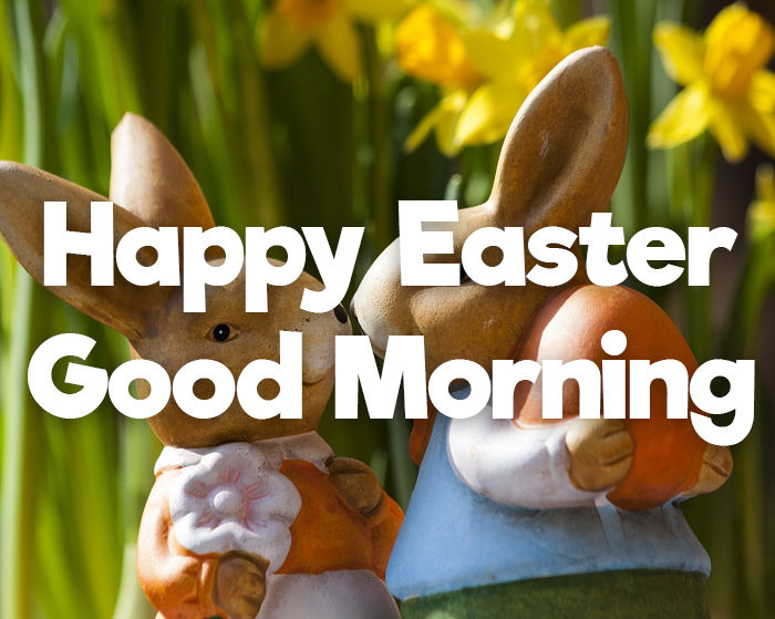 Bunny Rabbit Easter Morning Image Pictures, Photos, and Images for ...