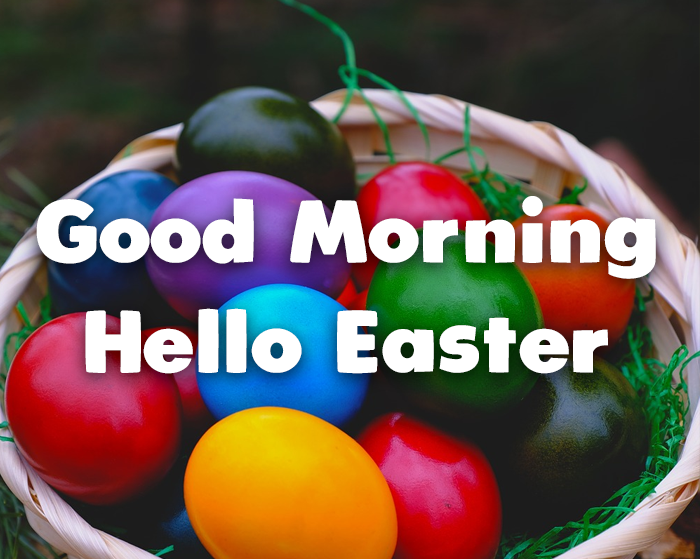 Good Morning Hello Easter Pictures, Photos, and Images for Facebook ...