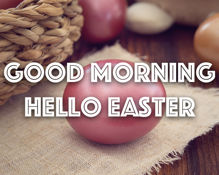 Pink Egg Hello Easter Good Morning Image Pictures, Photos, and Images ...