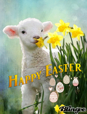 Lamb Happy Easter Quote Pictures, Photos, and Images for Facebook ...