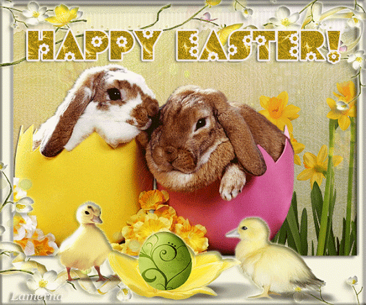 Bunny Sitting In Easter Egg Gif Pictures, Photos, and Images for ...