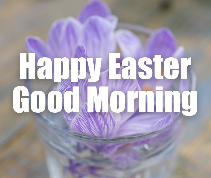 Lilac Happy Easter Good Morning Pictures, Photos, and Images for ...