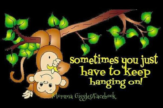 Sometimes You Just Have To Keep Hanging On! Pictures, Photos, and ...