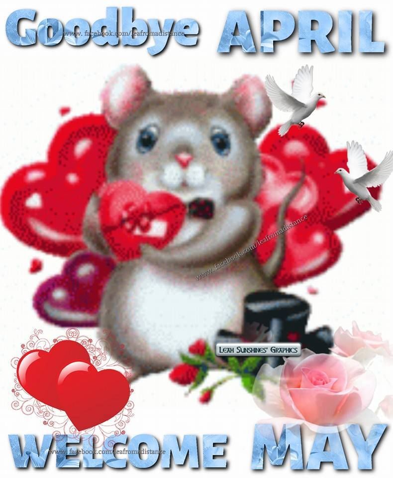 Mousey Goodbye April Welcome May Pictures, Photos, and Images for ...