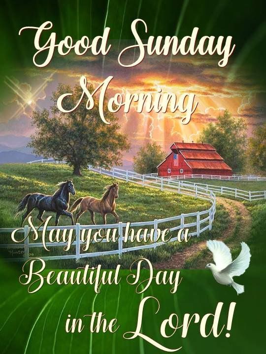 Good Sunday Morning Pictures, Photos, and Images for Facebook, Tumblr ...