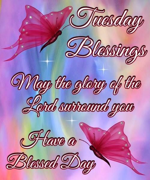 Beautiful Butterfly Tuesday Blessings Pictures, Photos, and Images for ...