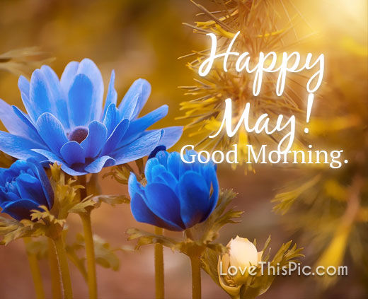 Happy May Pictures, Photos, and Images for Facebook, Tumblr, Pinterest ...