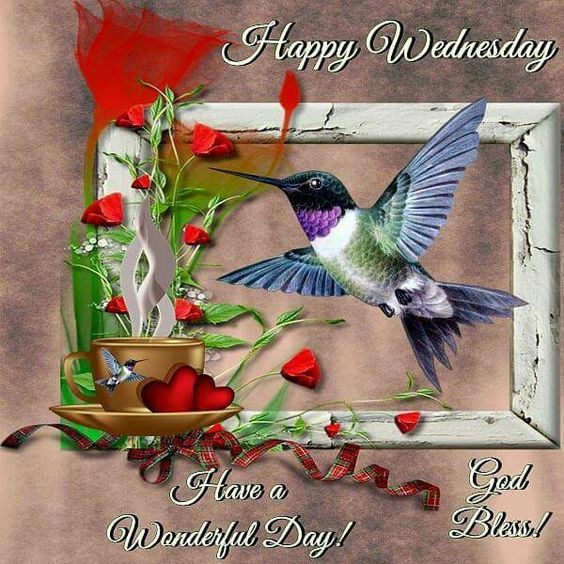 Hummingbird Happy Wednesday Pictures, Photos, and Images for Facebook ...