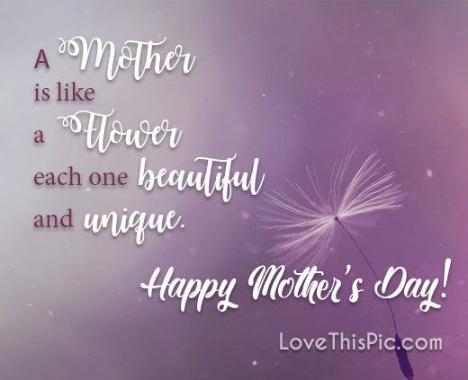 A Mother Is Like A Flower Pictures, Photos, and Images for Facebook ...