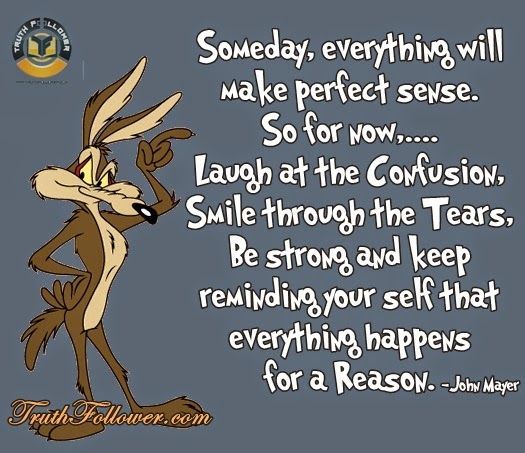 Someday, Everything Will Make Perfect Sense Pictures, Photos, and ...