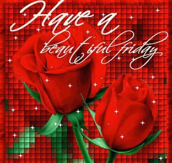 Two Rose Beautiful Friday Pictures, Photos, and Images for Facebook ...