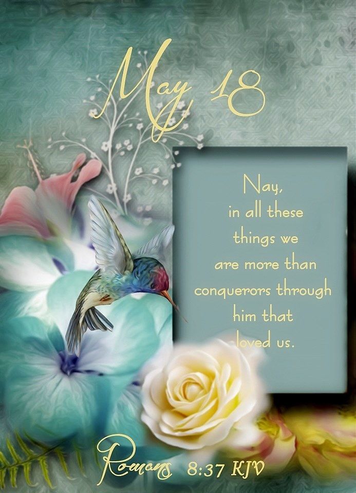 May 18 Pictures, Photos, and Images for Facebook, Tumblr, Pinterest ...