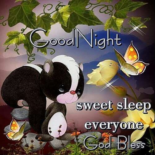 Sweet Sleep God Bless Pictures, Photos, and Images for Facebook, Tumblr ...