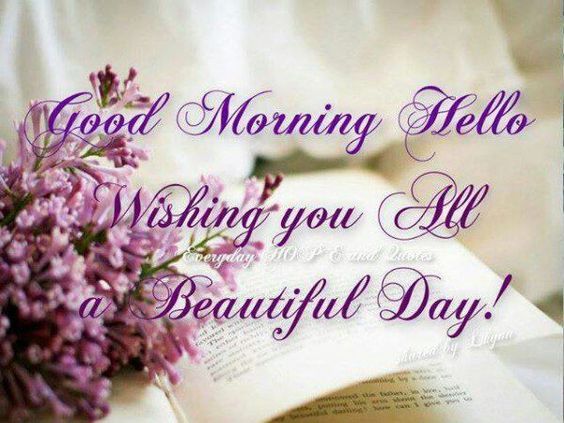 Good Morning Hello Pictures, Photos, and Images for Facebook, Tumblr ...