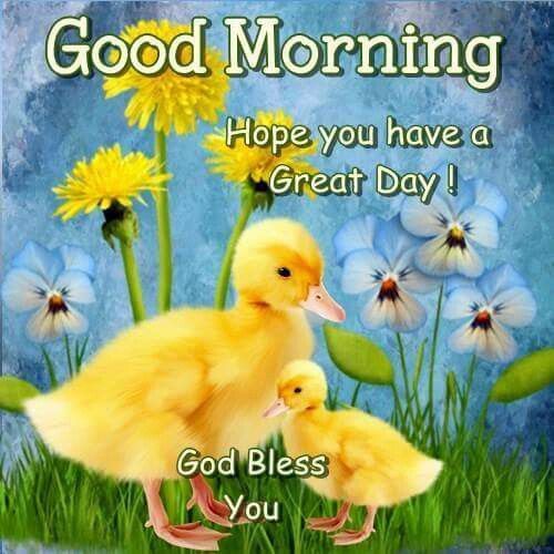 Yellow Ducky Good Morning Wish Pictures, Photos, and Images for ...