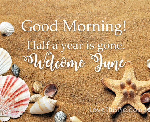 Half The Year Is Gone Pictures, Photos, and Images for Facebook, Tumblr ...